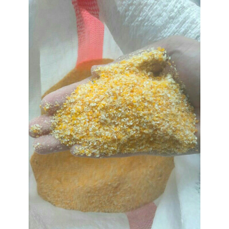Jual Jagung Giling "Menir" Pakan Ternak Kemasan 1Kg (Min 3 pcs ...
