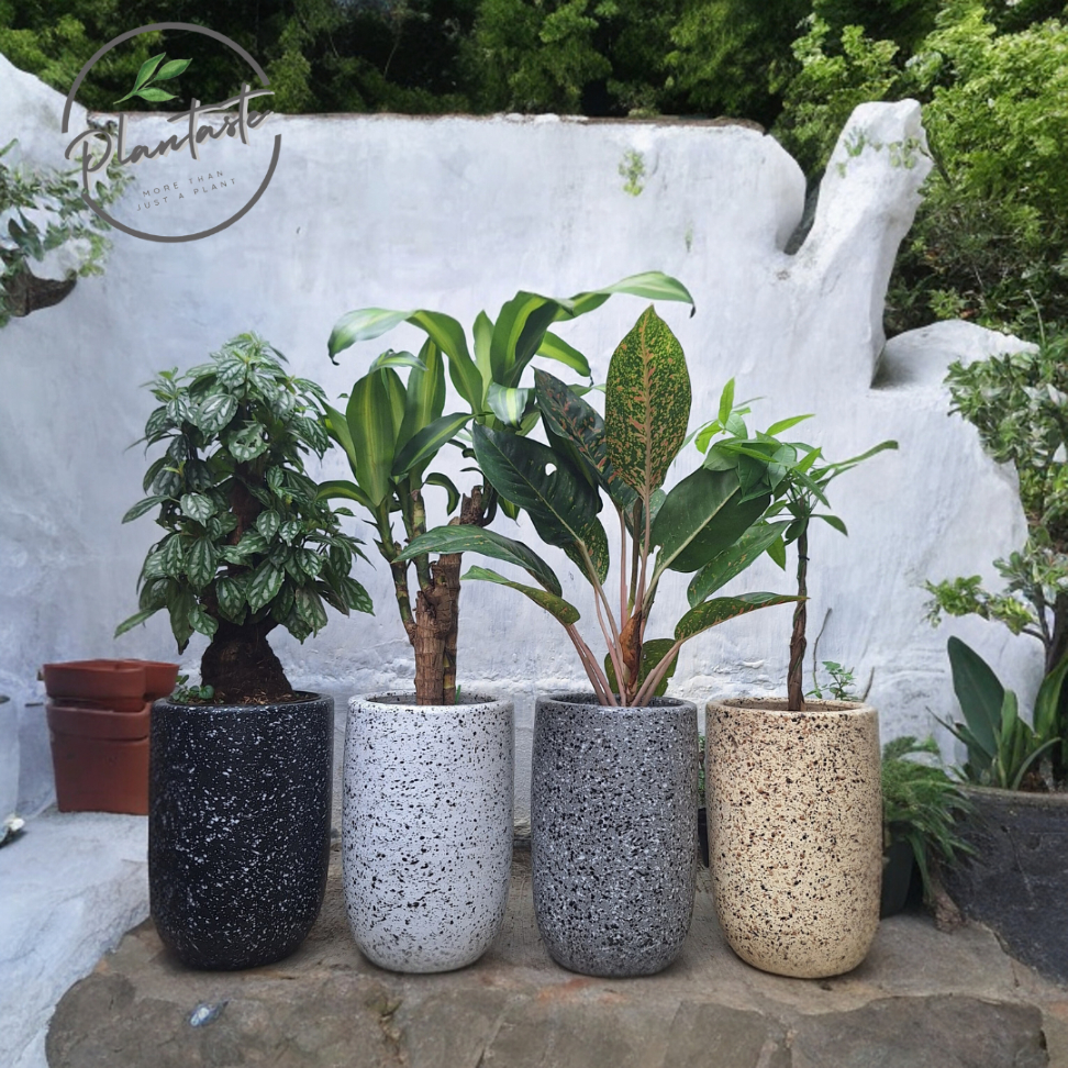 Jual POT PREMIUM GERABAH KAPSY 20 BERCAK | D20 T30 | POT GERABAH TANAH ...