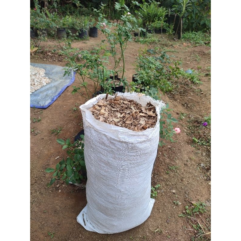 Jual media tanam daun bambu APUS murni permentasi 1 karung penuh /15kg ...