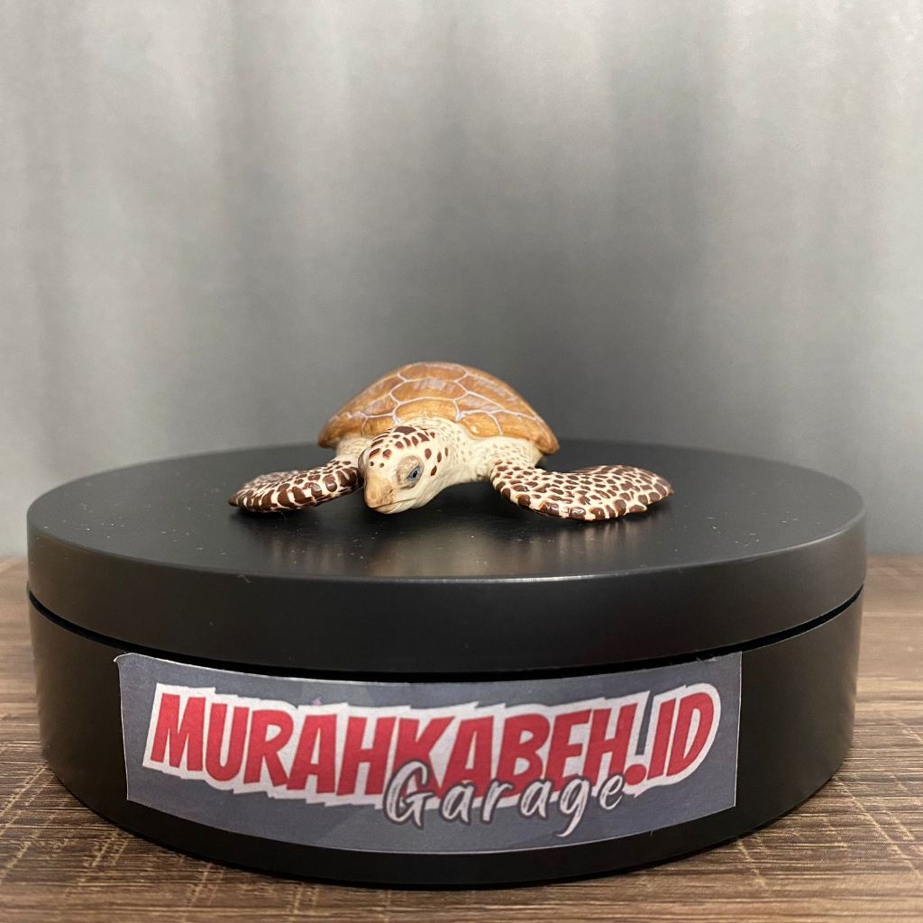 Jual Animal Figure Papo Loggerhead Sea Turtle - Caretta caretta - Penyu ...