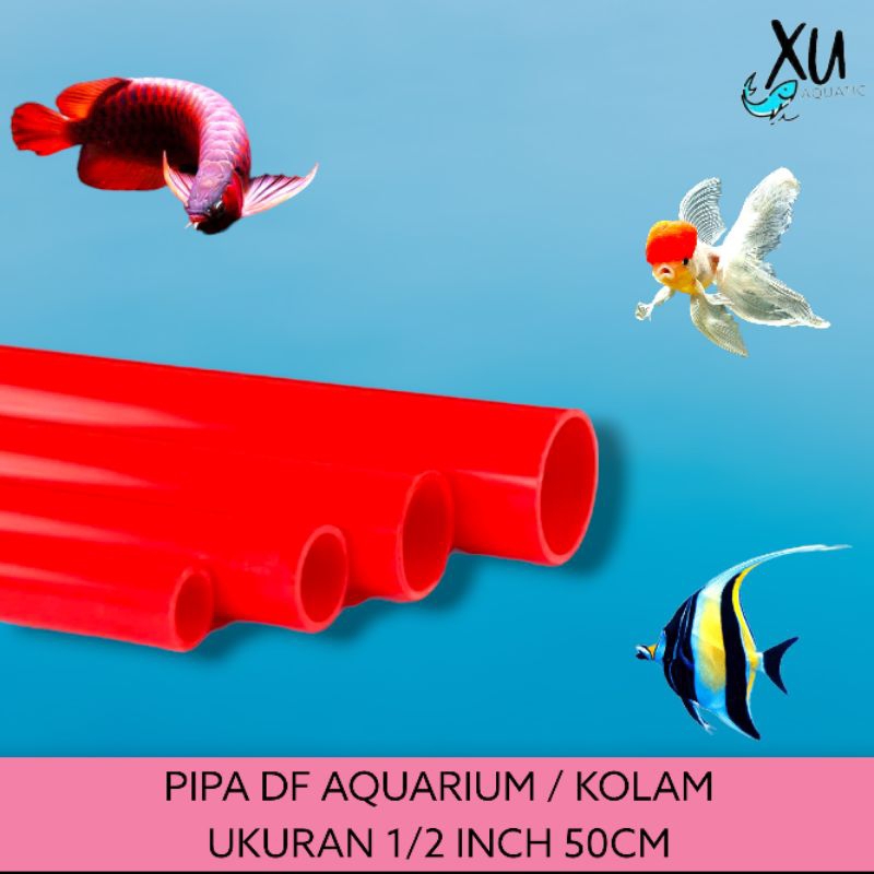 Jual PIPA DF 1/2" INCH (20MM) PANJANG 50 CM PIPA AQUARIUM KOLAM | Shopee Indonesia