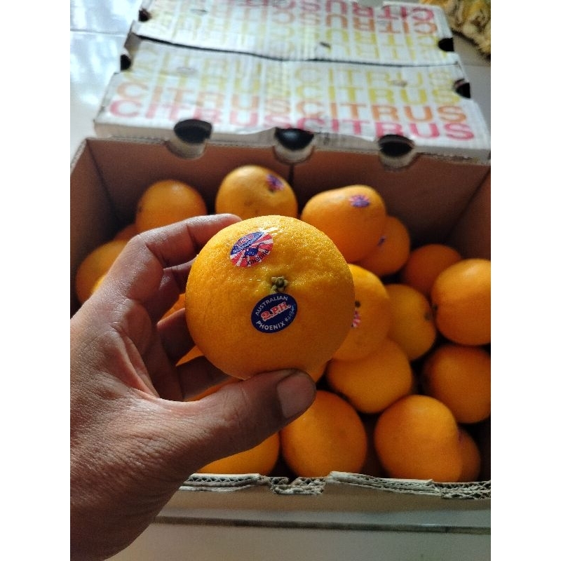 Jual jeruk kupas Mandarin honey murcot /kg | Shopee Indonesia