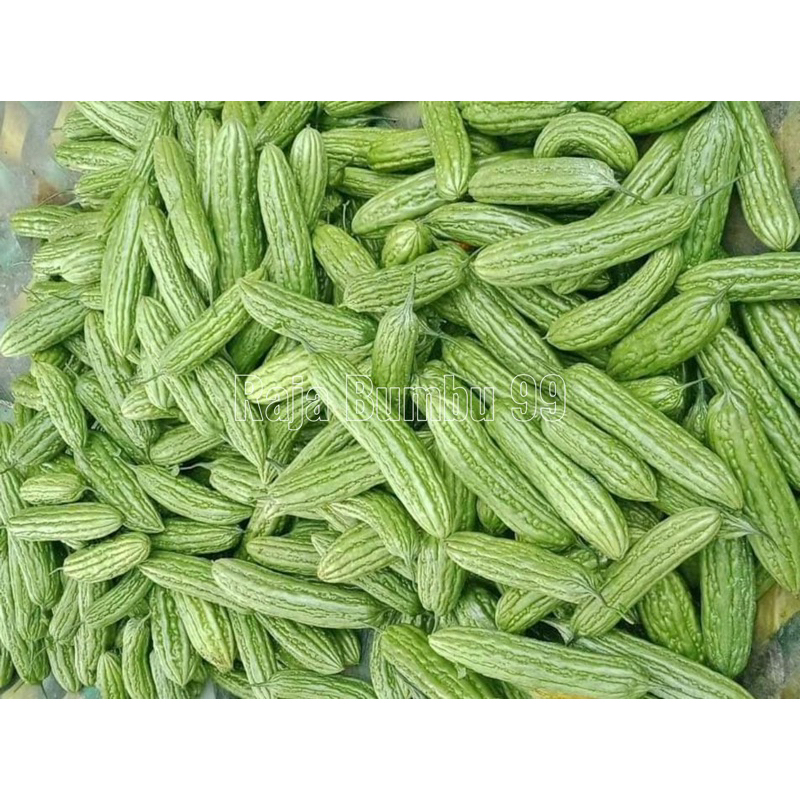 Jual SAYUR PARE 500gr | Shopee Indonesia