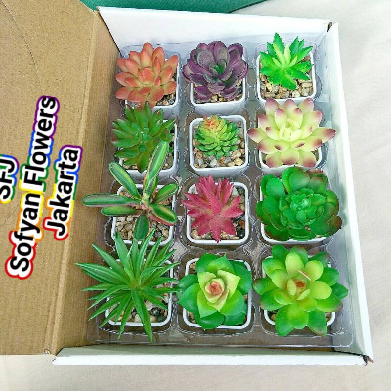 Jual KAKTUS LATEX MINI KAKTUS ARTIFICIAL PAJANGAN BUNGA KAKTUS TANAMAN ...