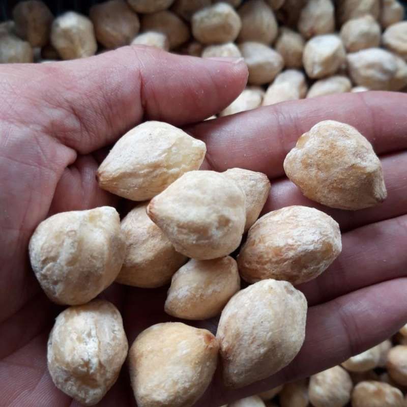 Jual Muncang segar 100g | Shopee Indonesia