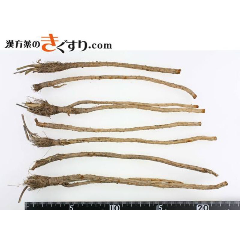 Jual 300 G GR GRAM 防风条 FANG FENG TIAO SILER ROOT | Shopee Indonesia