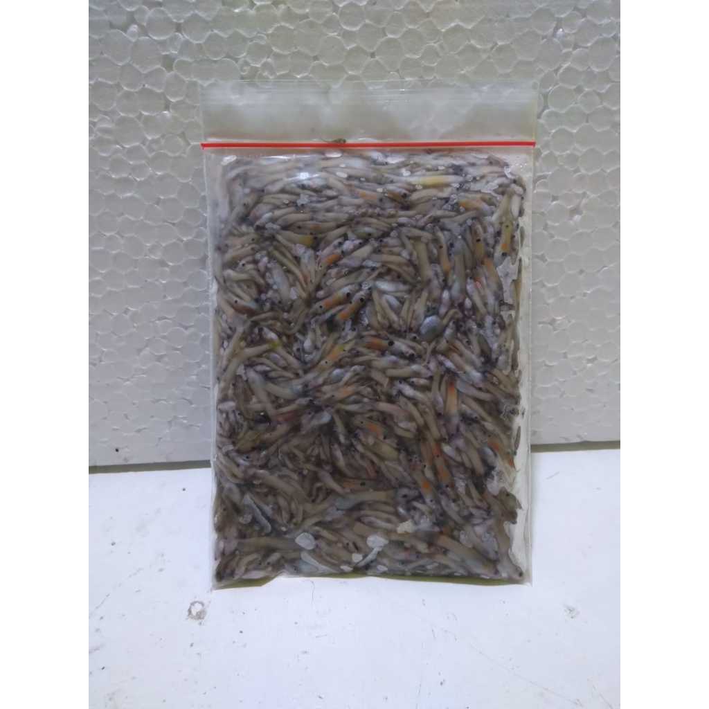Jual Cere Beku - Makanan Anemon / Biota Laut | Shopee Indonesia