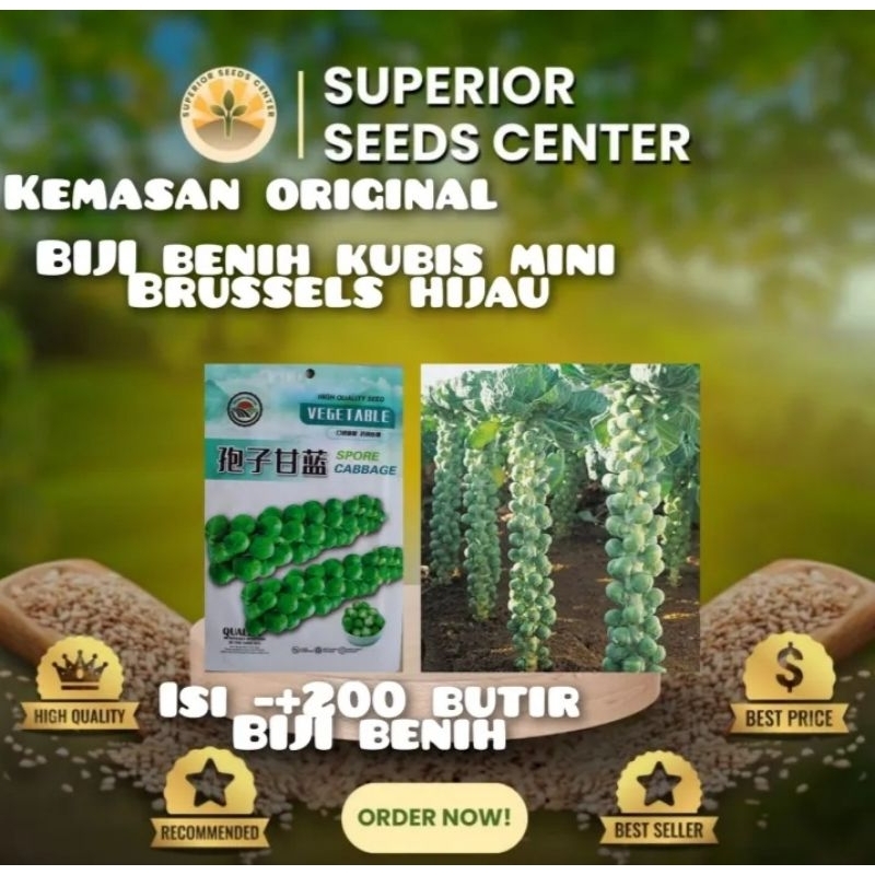 Jual kemasan original pabrik biji benih kubis mini Brussel impor F1 ...