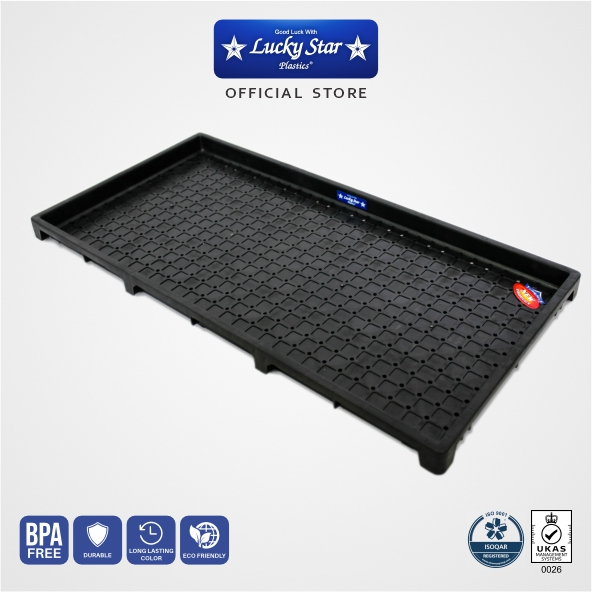 Jual Lucky Star - TRAY SEMAI PADI/TRAY MICROGREEN L KODE 5387 | Shopee ...
