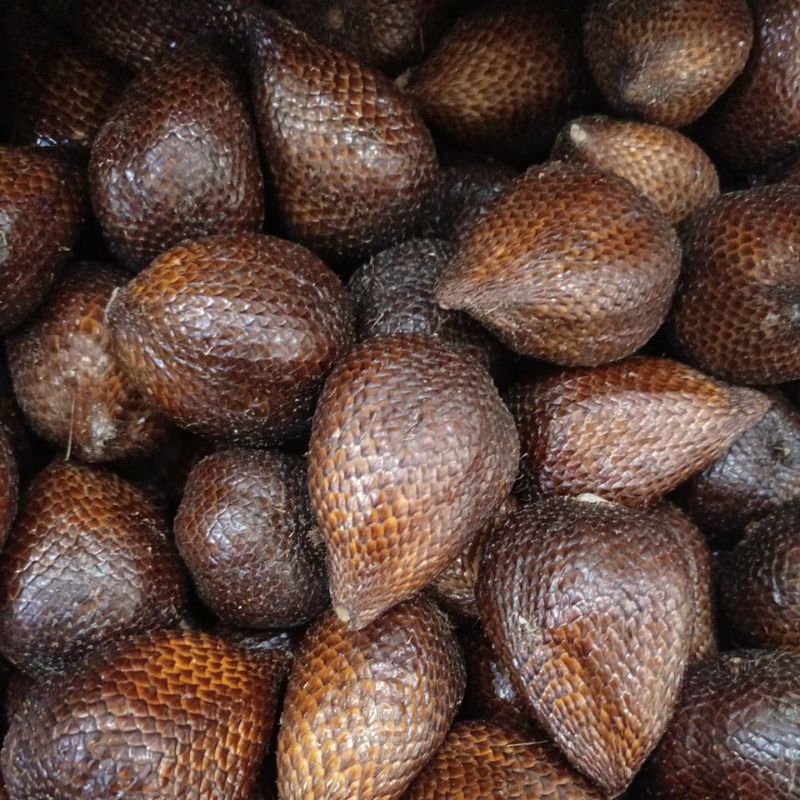 Jual buah salak pondoh 1kg | Shopee Indonesia
