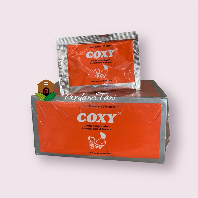 Jual Coxy 10 gram / 1 box / isi 30 scht | Shopee Indonesia