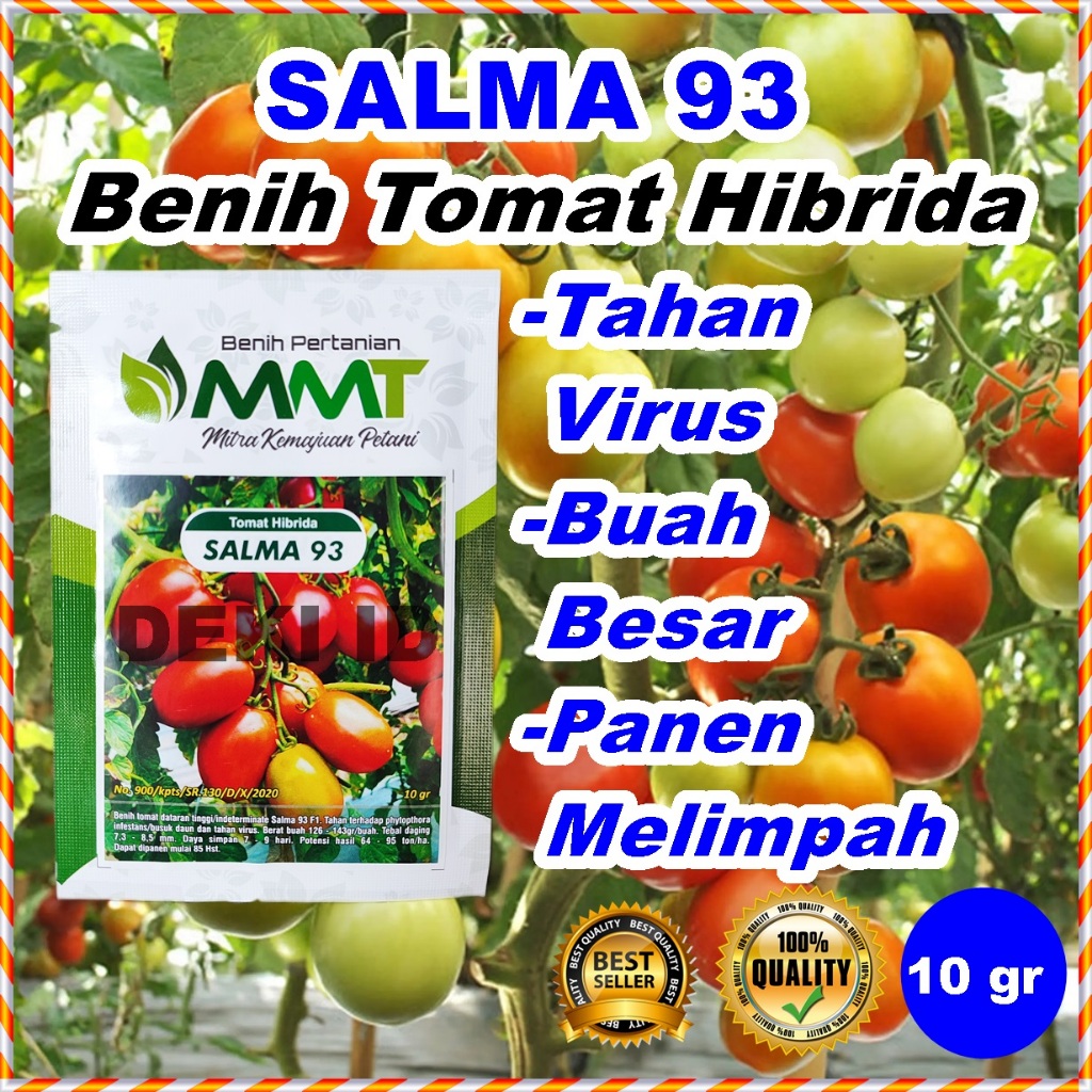 Jual Benih Tomat Salma 93 F1 10 gram Bibit Hibrida MMT | Shopee Indonesia