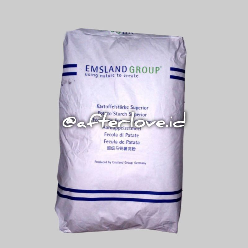 Jual Tepung Pati Kentang (Putih) Sang Fen Potato Starch Merek Emsland ...