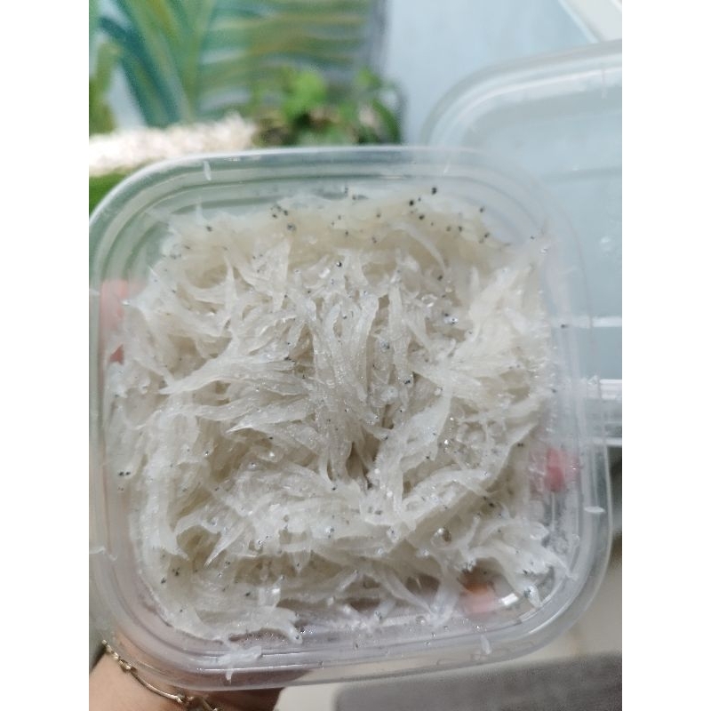 Jual Ikan Teri Basah Premium/ Ikan Teri Nasi 250g/Cocok Untuk MPASI ...