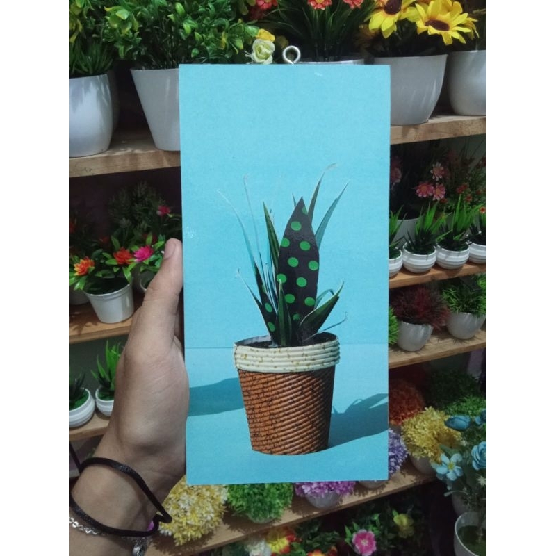 Jual poster kayu tema daun | Shopee Indonesia