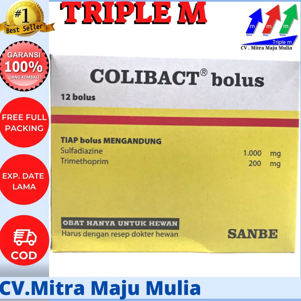 Jual KODE Q25G COLIBACT BOLUS 1 BOX ISI 12 BOLUS SANBE | Shopee Indonesia