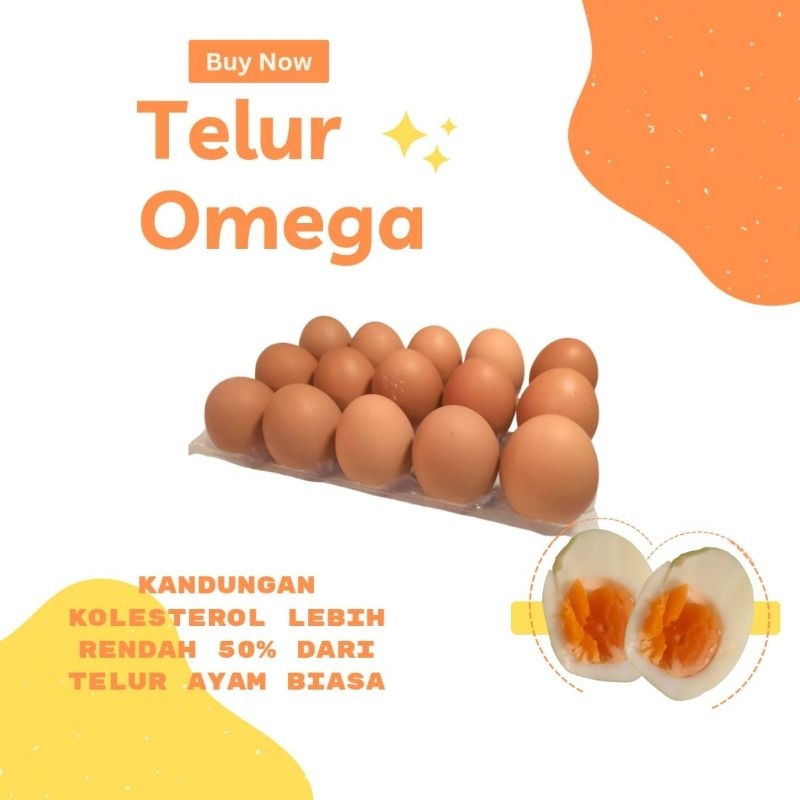 Jual Telur Omega 3 Ayam Negeri Fresh 15 Butir Khusus Bandung | Shopee ...