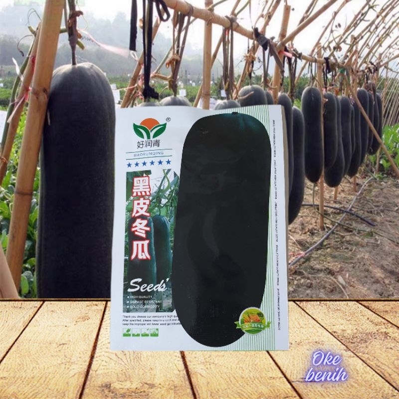 Jual KEMASAN ORIGINAL -+ 130 BUTIR BENIH LABU HITAM PANJANG JUMBO ...