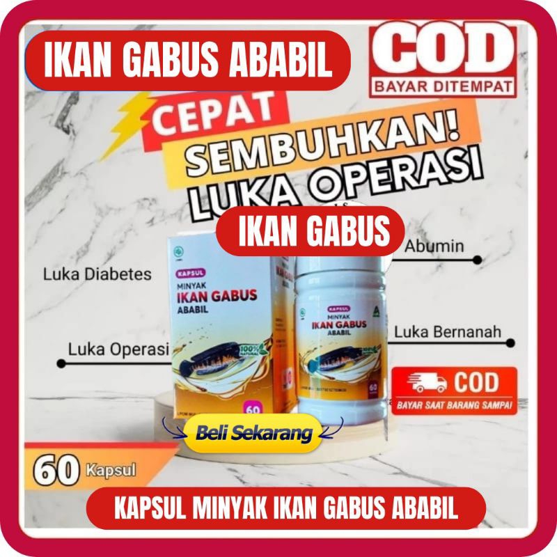 Jual MINYAK IKAN GABUS ABABIL ISI 60 - KAPSUL MINYAK IKAN GABUS ABABIL 100% Minyak Ikan Gabus ...