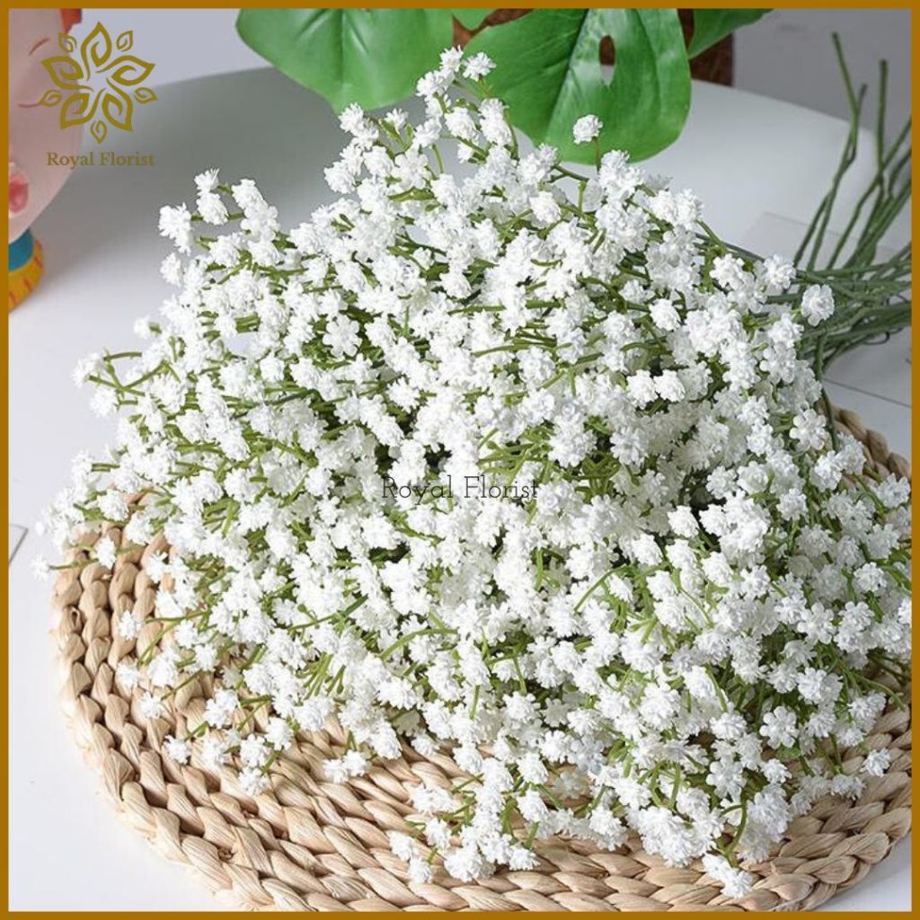 Jual Bunga Baby Breath Tangkai Panjang 60cm/Bunga Bouquet/Bunga ...