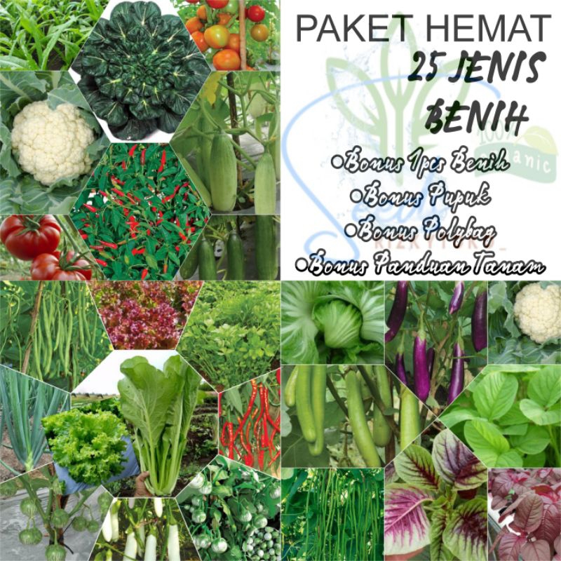 Jual Paket Hemat Benih Sayuran 25 JENIS Benih Unggul BONUS Polibag Pupuk dan Panduan Tanam ...