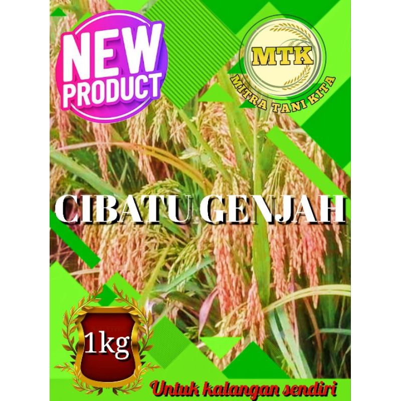 Jual BENIH PADI CIBATU GENJAH ORIGINAL kemasan 1kg | Shopee Indonesia