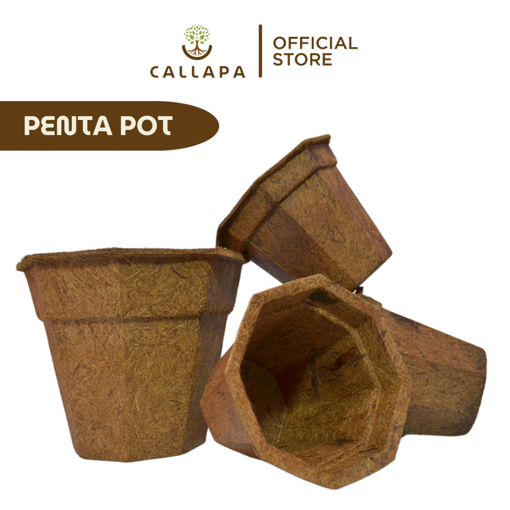 Jual Callapa - Penta pot - Small (Coco fiber pot / Cocopot) | Shopee ...