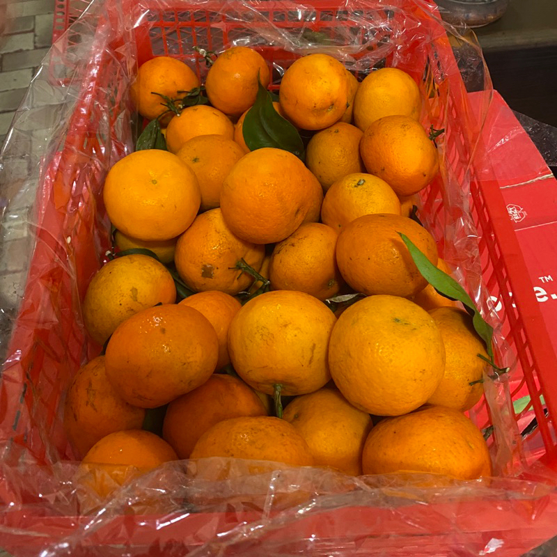 Jual Jeruk Mandarin Wokam/Wogan Manis 1kg | Shopee Indonesia