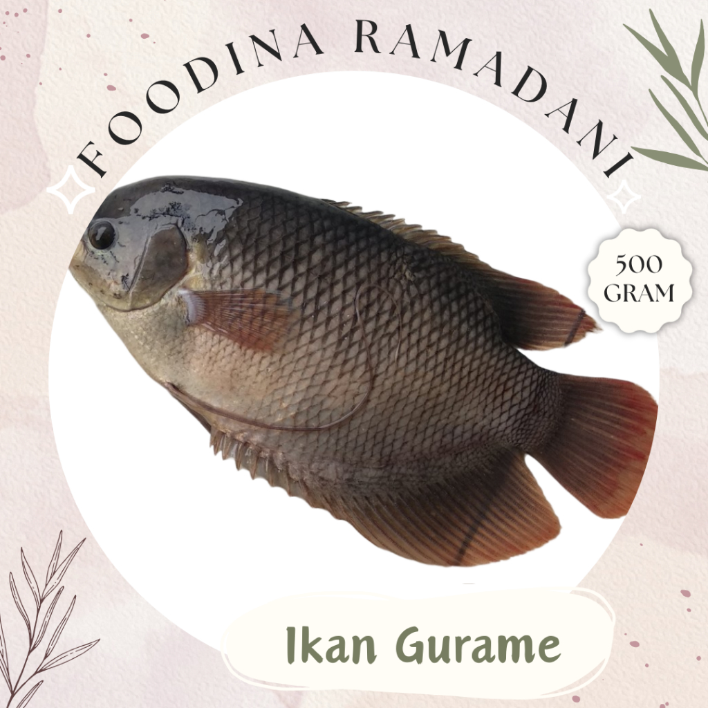 Jual IKAN GURAME Gurami - Gourami Fish Fresh [ 500gr ] Harga Per 0,5 Kg ...