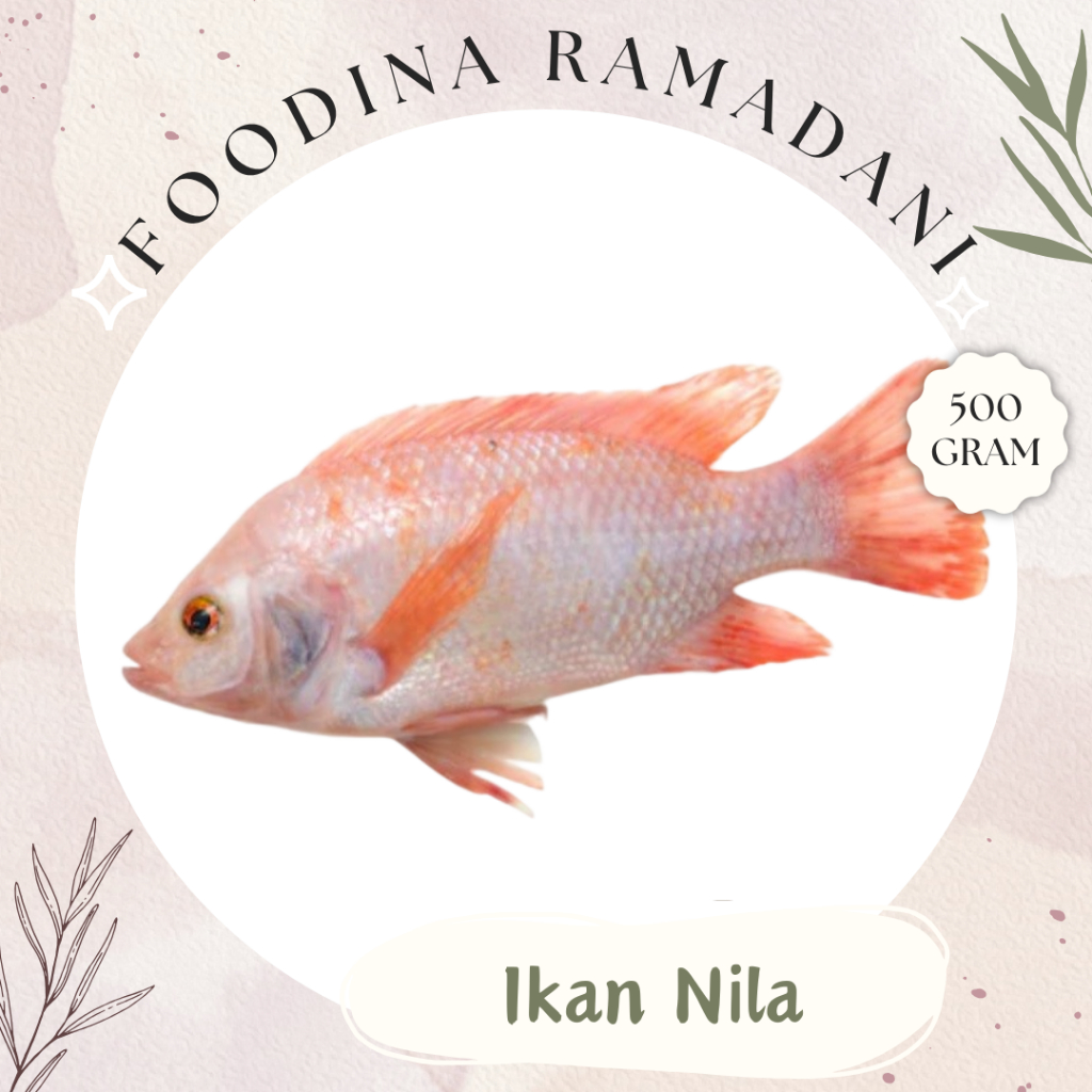 Jual IKAN NILA Merah - Tilapia Fish Fresh [ 500gr ] Harga Per 0,5 Kg ...