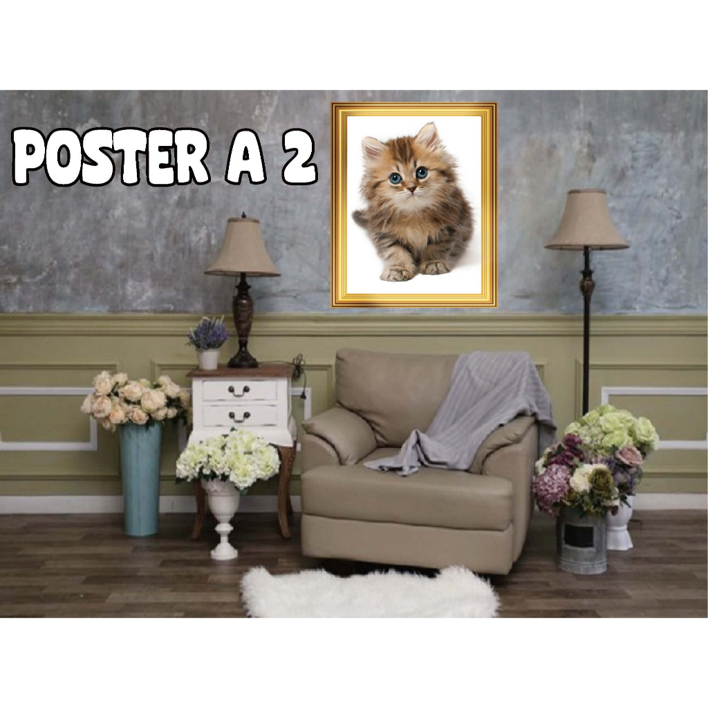 Jual cetak fhoto paper / cetak a2 poster / cetak poster a1 / cetak foto ...