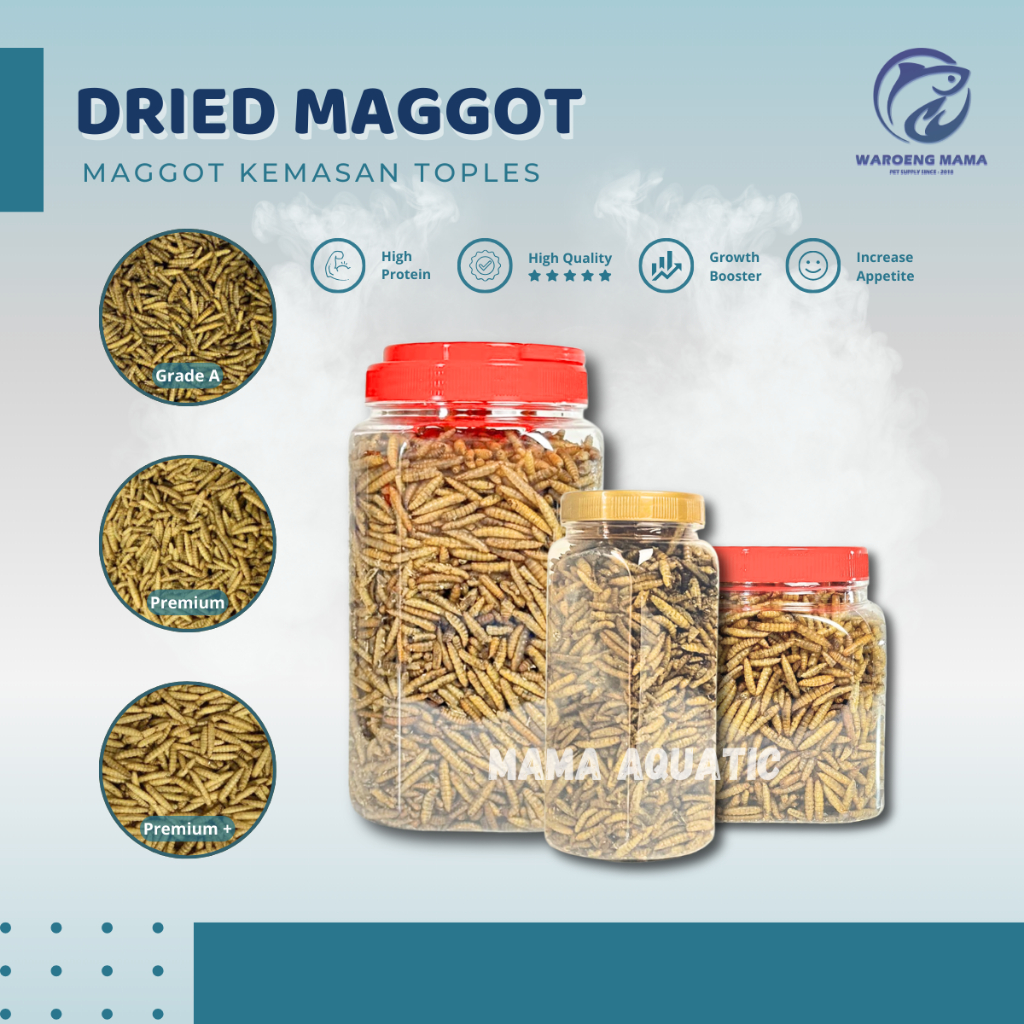 Jual Dried Maggot Kering Kemasan Toples 100gram 200gram 300gram pakan ...