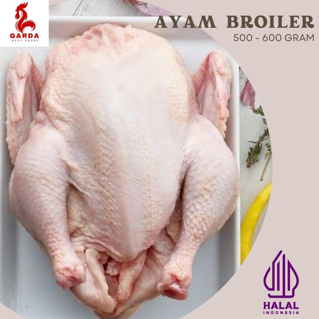 Jual Ayam Broiler Karkas Fresh frozen Utuh 500-600gr | Shopee Indonesia