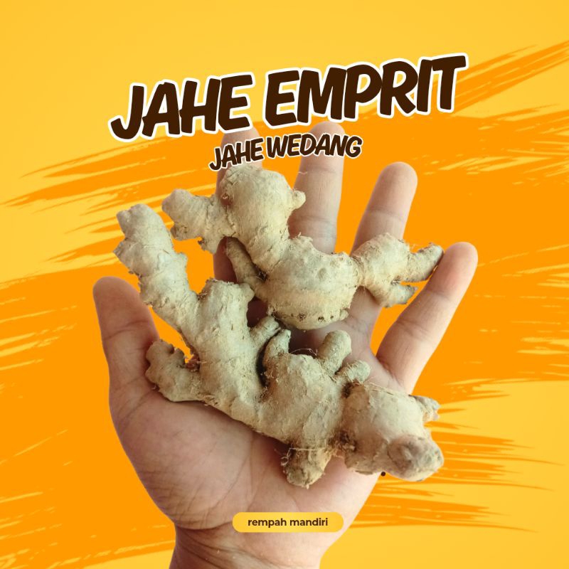 Jual Jahe Emprit Jahe Wedang Segar 1 Kg | Shopee Indonesia Jual Jahe Emprit Jahe Wedang Segar 1 Kg | Shopee Indonesia
