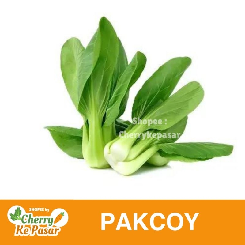 Jual Pakcoy Segar (+/-) 500 gr 1 kg | Shopee Indonesia
