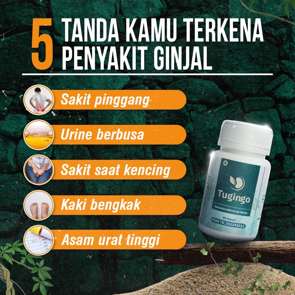 Jual Tugingo 60 Kapsul | Shopee Indonesia