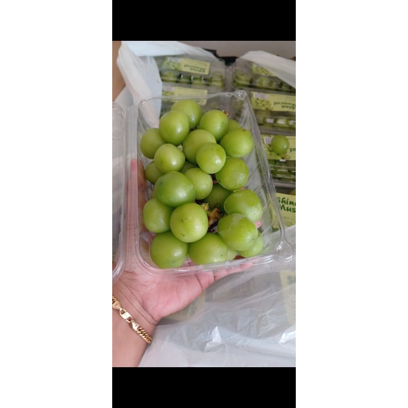 Jual ANGGUR MUSCAT MANIS NON BIJI PACK 500GRAM SHINE MUSCAT | Shopee ...