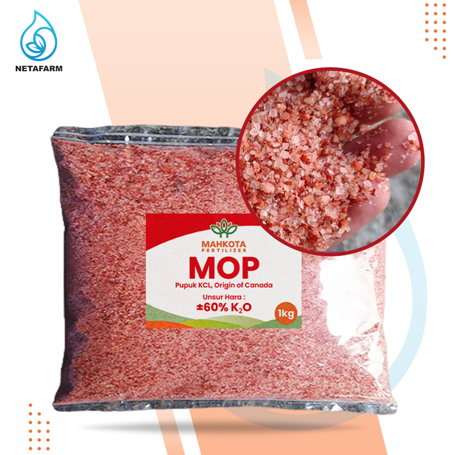 Jual Pupuk KCL MOP / MAHKOTA ( Kalium 60% ) Repack | Shopee Indonesia
