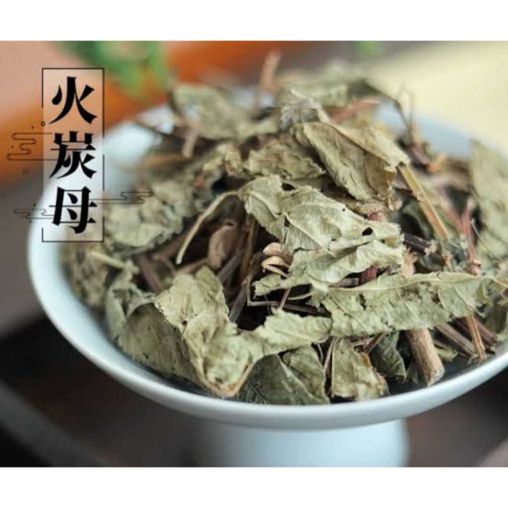 Jual Huo Tan Mu 火炭母 Polygunum Persicaria Chinensis | Shopee Indonesia