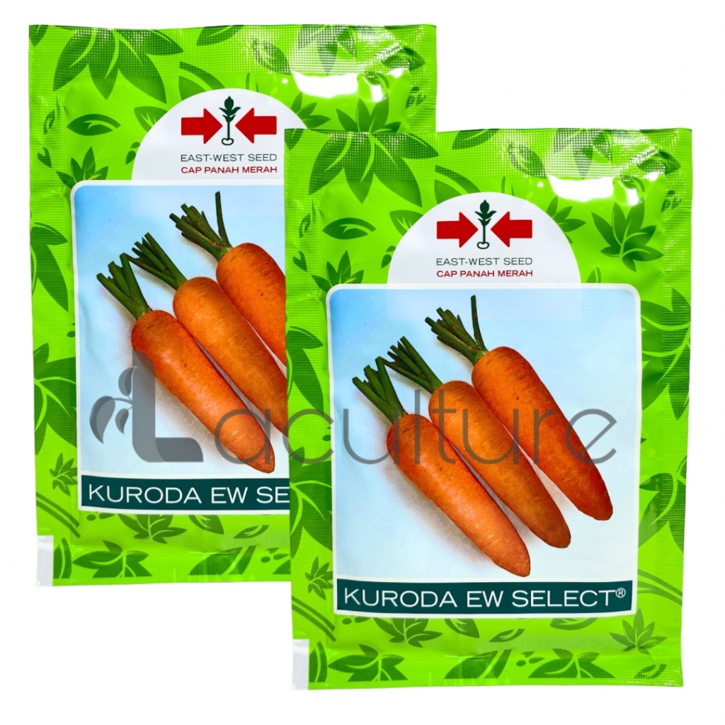 Jual Benih Wortel KURODA EW SELECT Isi 3500 Butir Cap Panah Merah ...