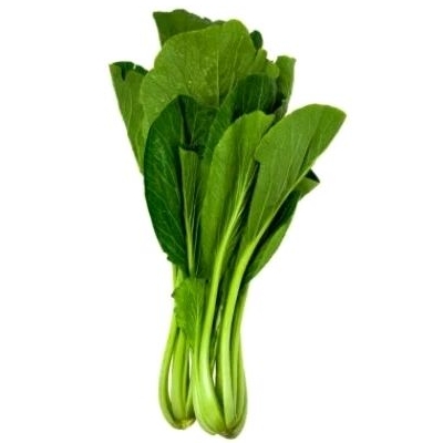 Jual Caisim Hidroponik Fresh | Shopee Indonesia