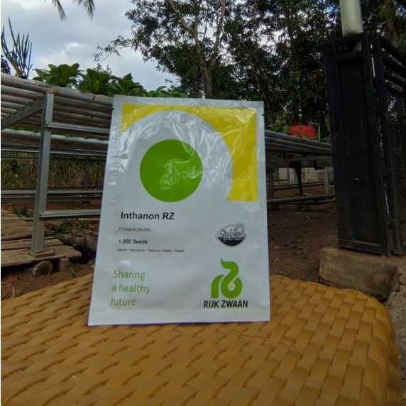 Jual Benih melon RZ inthanon 1000 seed asli kemasan pabrik F1 | Shopee ...