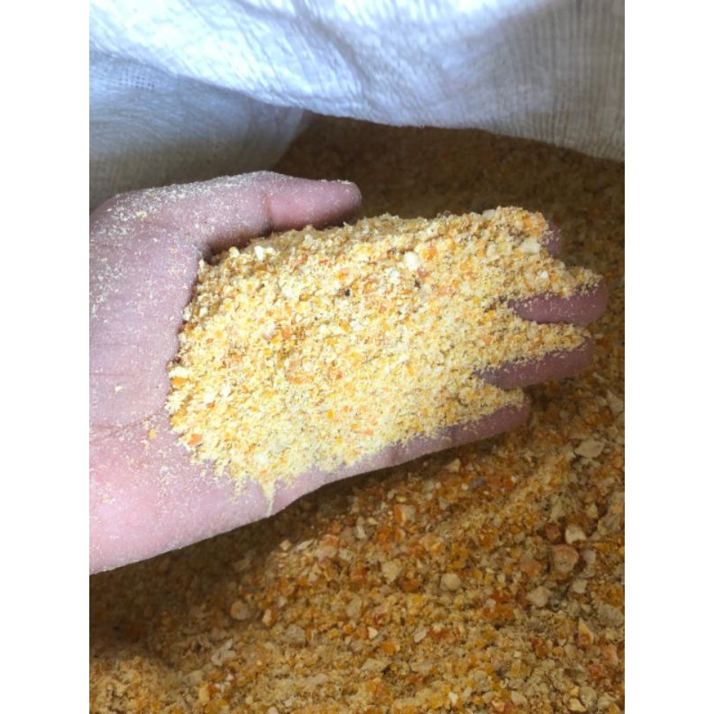 Jual Jagung Selep giling 5 kiloan pakan hewan ternak Halus Dan Kasar ...