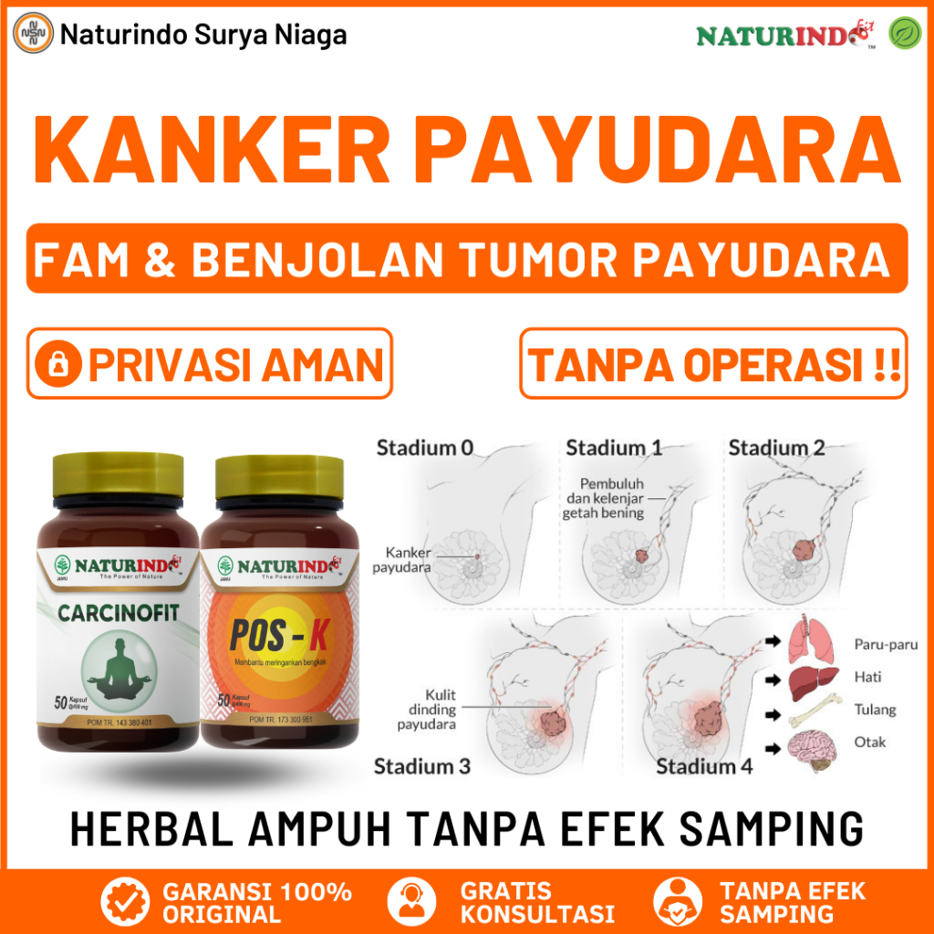 Jual Obat Benjolan Payudara Kanker Tumor dan Kista FAM Mastitis Herbal ...