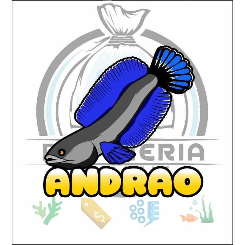 Jual sticker hiasan aquarium andrao 5cm | Shopee Indonesia