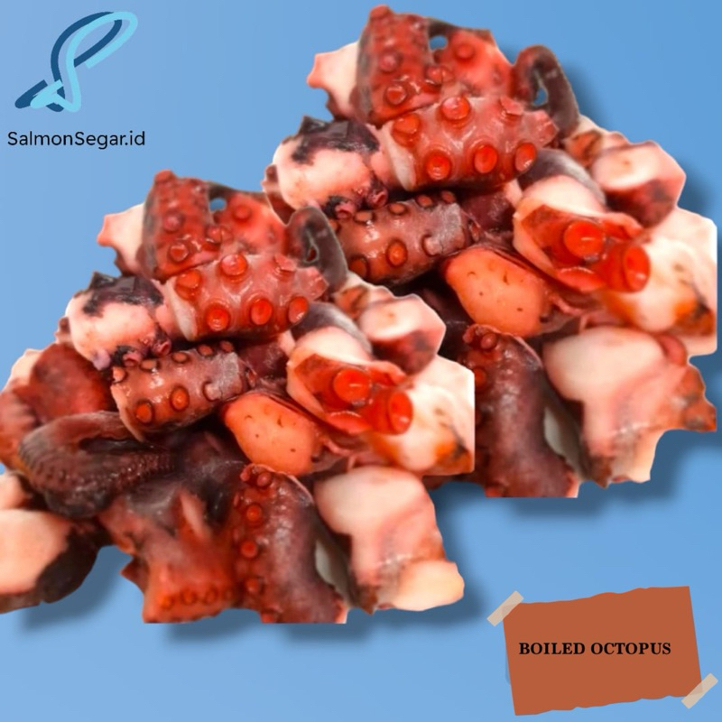 Jual Boiled Octopus - Tako Leg Cut - Gurita Potong | Shopee Indonesia