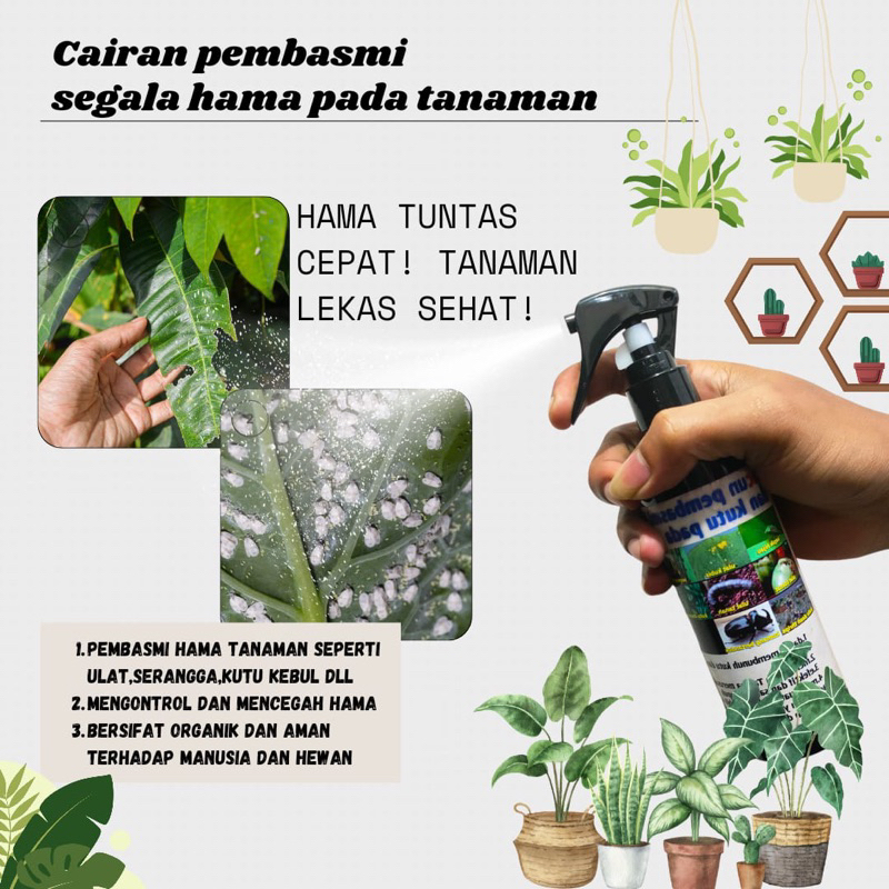 Jual PEMBASMI HAMA DAUN KUTU PUTIH,SEMUT DAN HAMA LAINNYA ISI 250ML ...