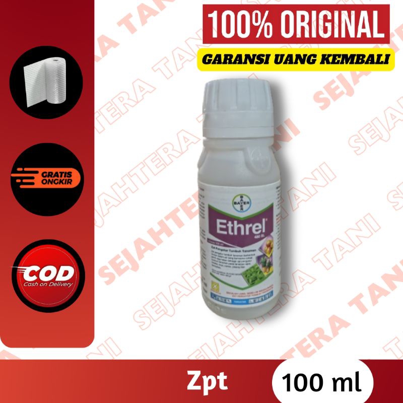 Jual Ethrel 480SL-100 ML ( ZPT pematang buah ) | Shopee Indonesia