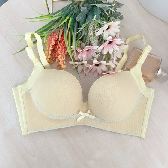 Jual Bra (K-C23) Pakaian dalam penekan lemak ekslusif design Limited ...