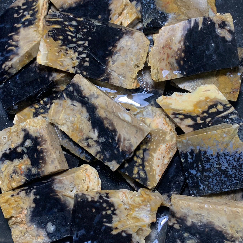 Jual Batu Posil palem api / Natural Posil Palem Api Amaterasu / Bahan ...